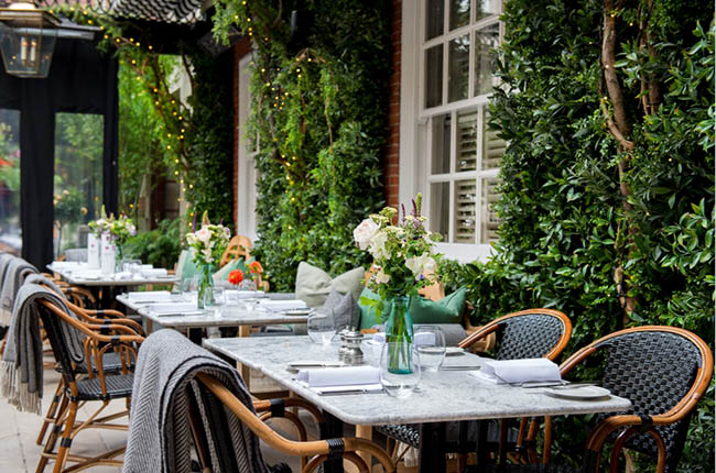 DOYLE COLLECTION BLOOMSBURY LONDON