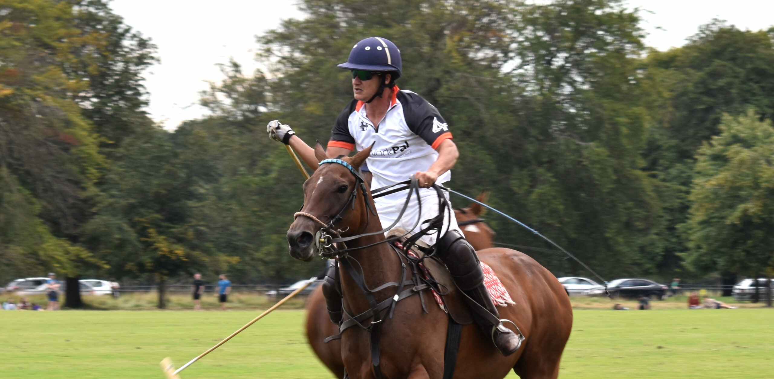 Polo ball in Dublin concludes a remarkable summer season - Pynck