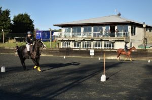 Rebel pebbles roll over Galloping Gately’s in Wicklow Christmas ...