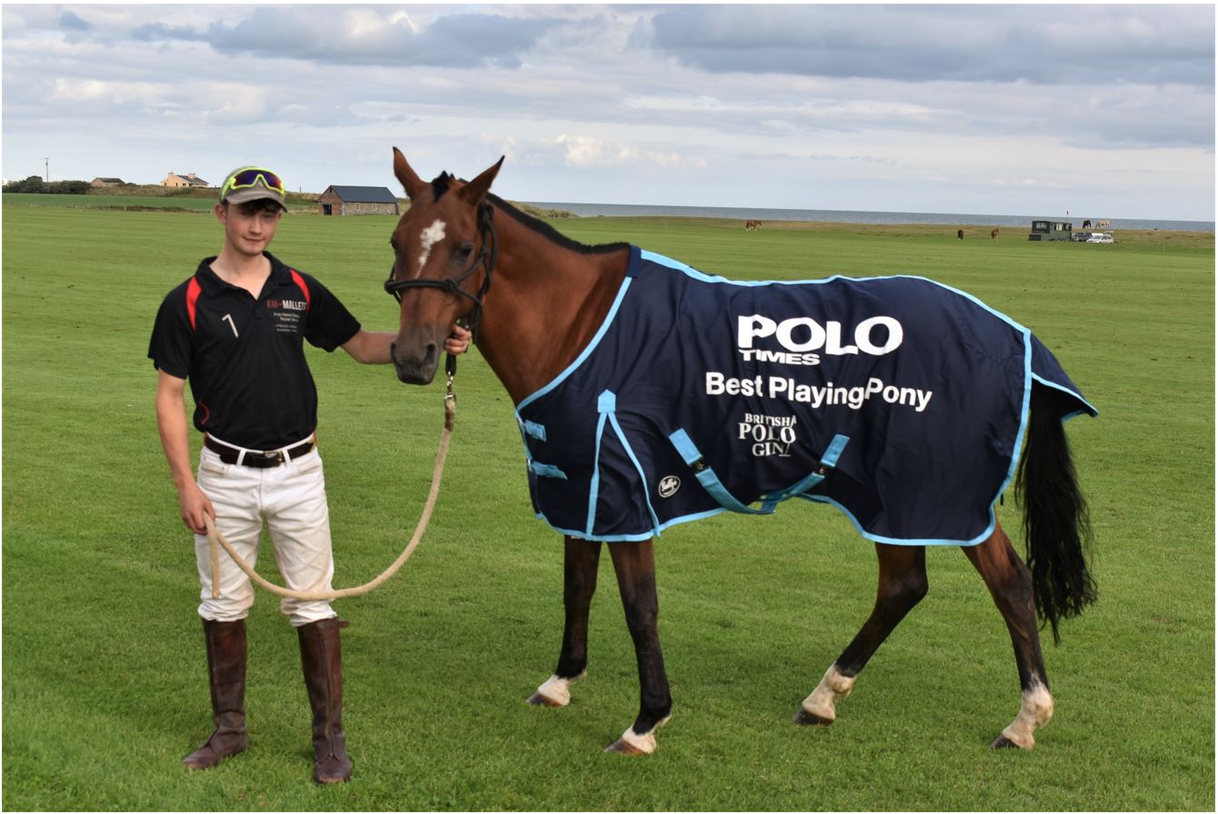 Polo at the centre of sun (sort of), sea and mountains in Northern ...