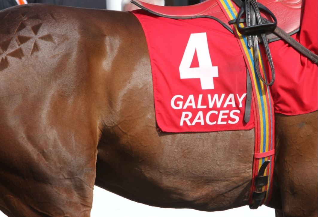 Galway Races Preview – Tips, Highlights and What to Know