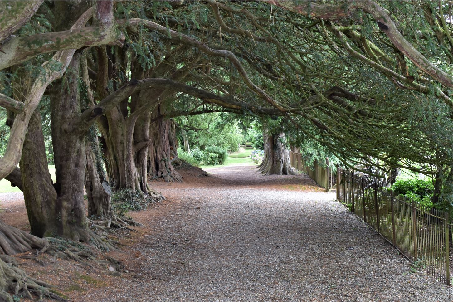 A Jacobean gem that has a story to tell – inside the castle and out - Pynck