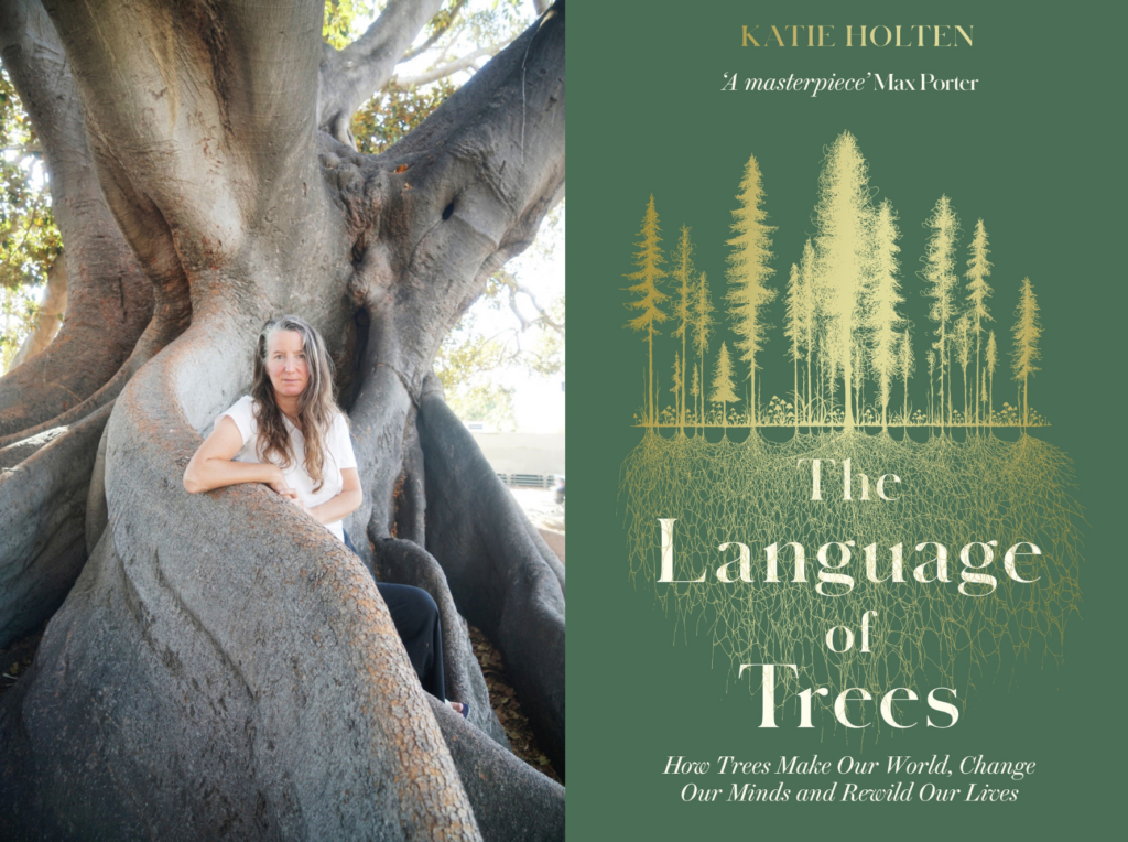 I M M A - Talk + Book Launch: The Language of Trees by Katie Holten - Pynck