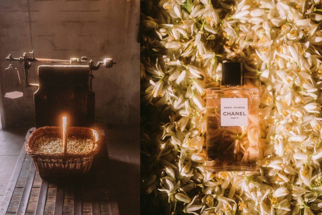 Chanel opens its garden: an olfactory journey around orange blossom
