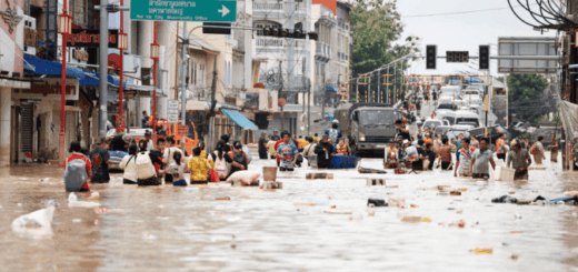 Impact of the Southeast Asia Cyclone - Full Disaster Report and ...